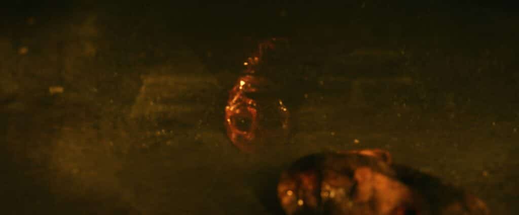 Medieval Satanic Panic Comes To Fantasia Film Festival In Inquisition ...