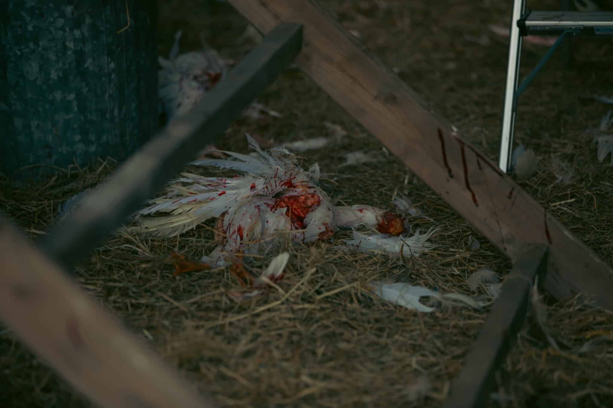THE DEMON DISORDER Gets September Release Date On Shudder