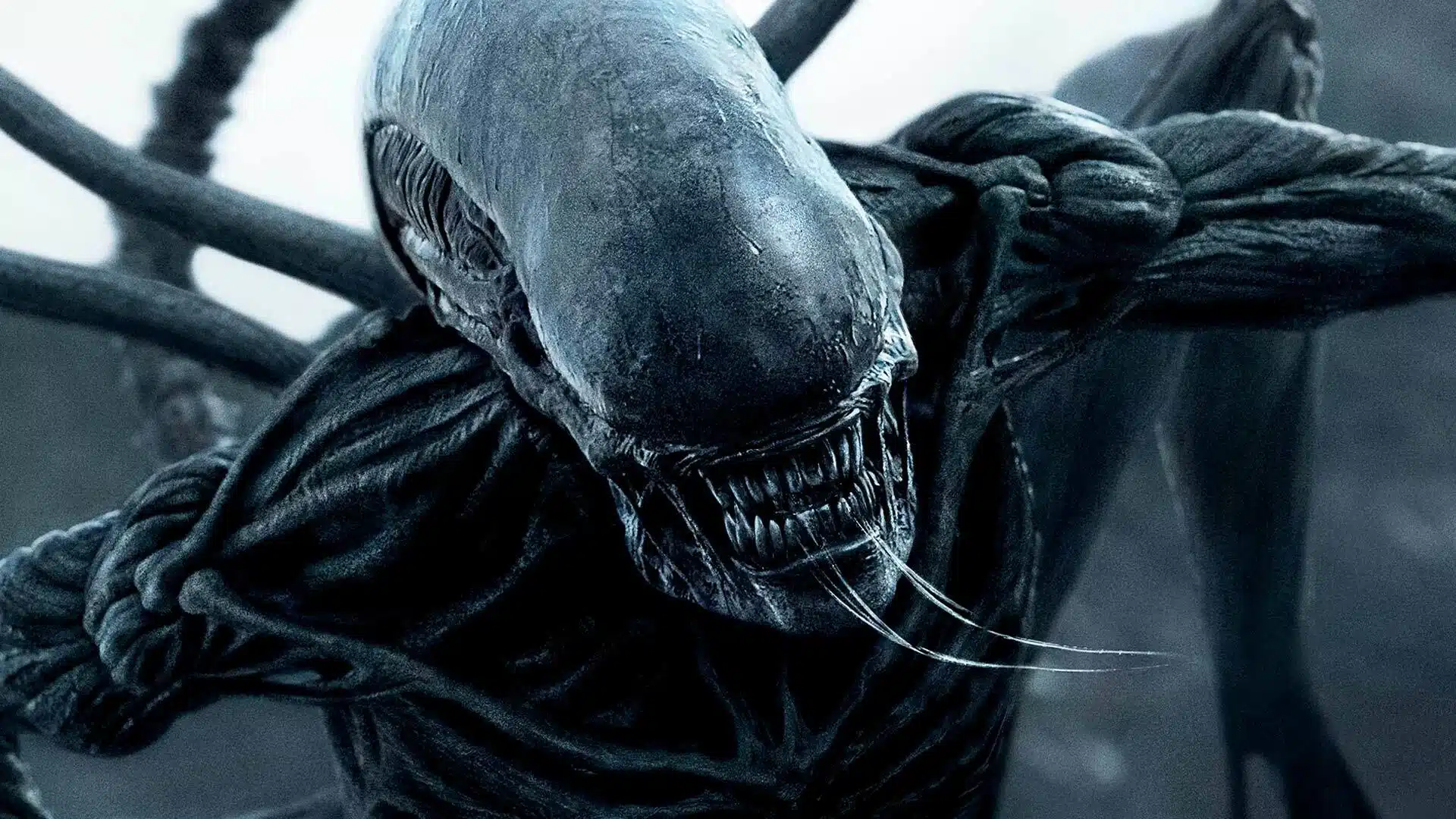 Ridley Scott Is Done With The ALIEN Franchise, It Seems Ridley Scott Is Done With The ALIEN Franchise, It Seems
