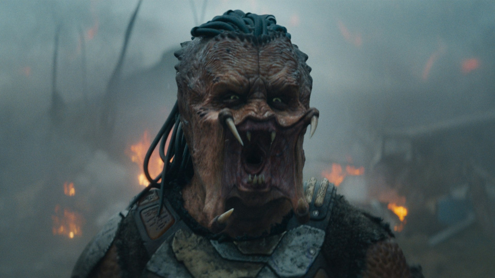 PREDATOR: BADLANDS Scores Record-Breaking Number One Box Office Opening