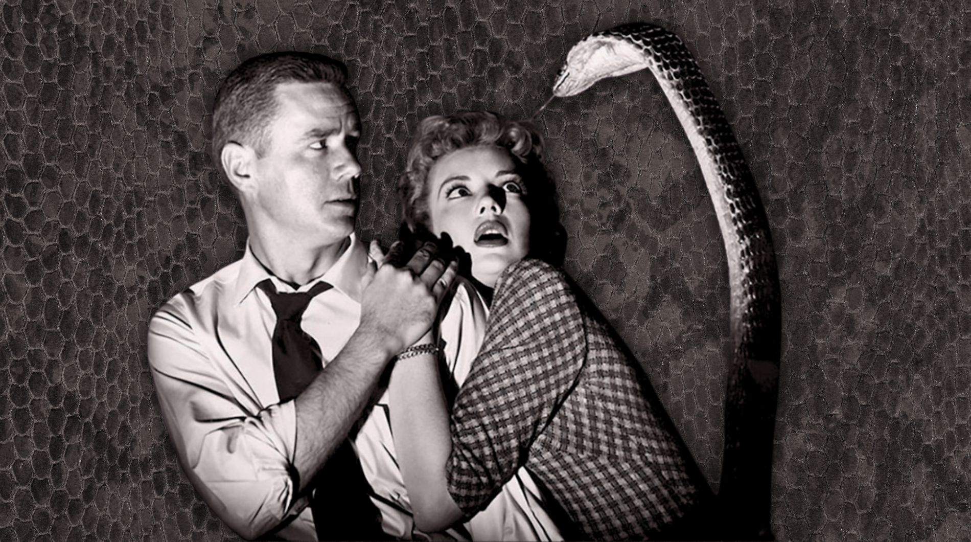 Ssssskin-Crawling: 5 Snake Horror Films To Watch Before The ANACONDA Reboot